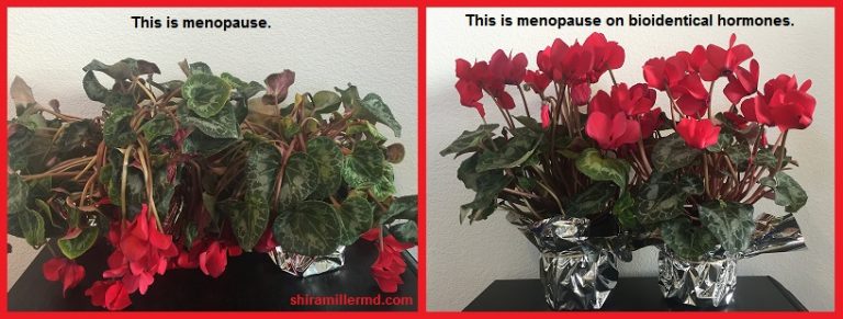 My Menopause Flowers - Shira Miller, M.D. - Concierge Menopause ...